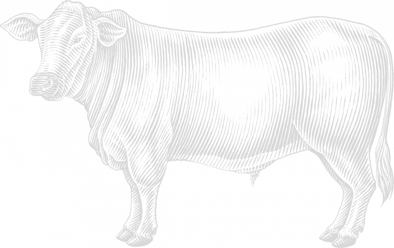 Avon Prime Meats - Avon's Top Butcher, Prime Meat Market